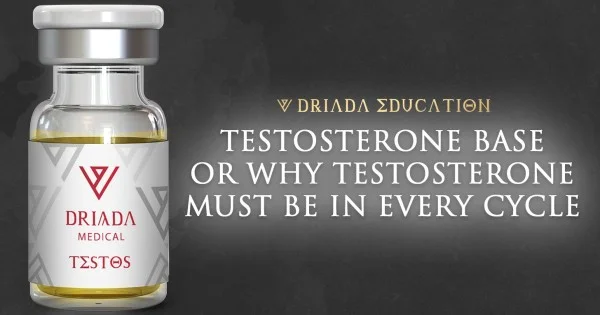 BASE DE TESTOSTERONA O POR QUÉ LA TESTOSTERONA DEBE ESTAR EN CADA CICLO ...